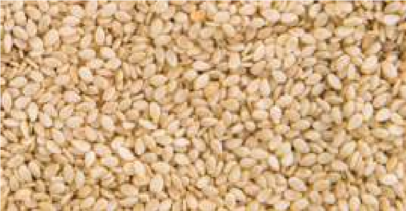 Yobe State Agency for Public Private Partnership and Investment ...